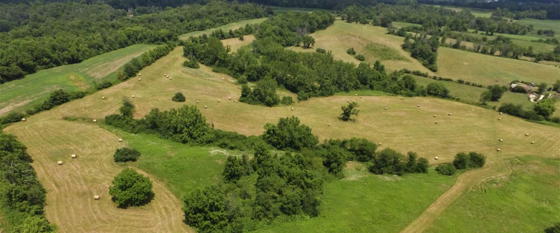 Understanding Conservation Easements for Land Parcels